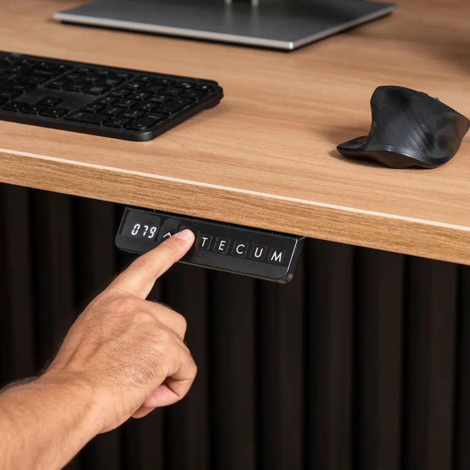 Standing Desk TECU PRO+